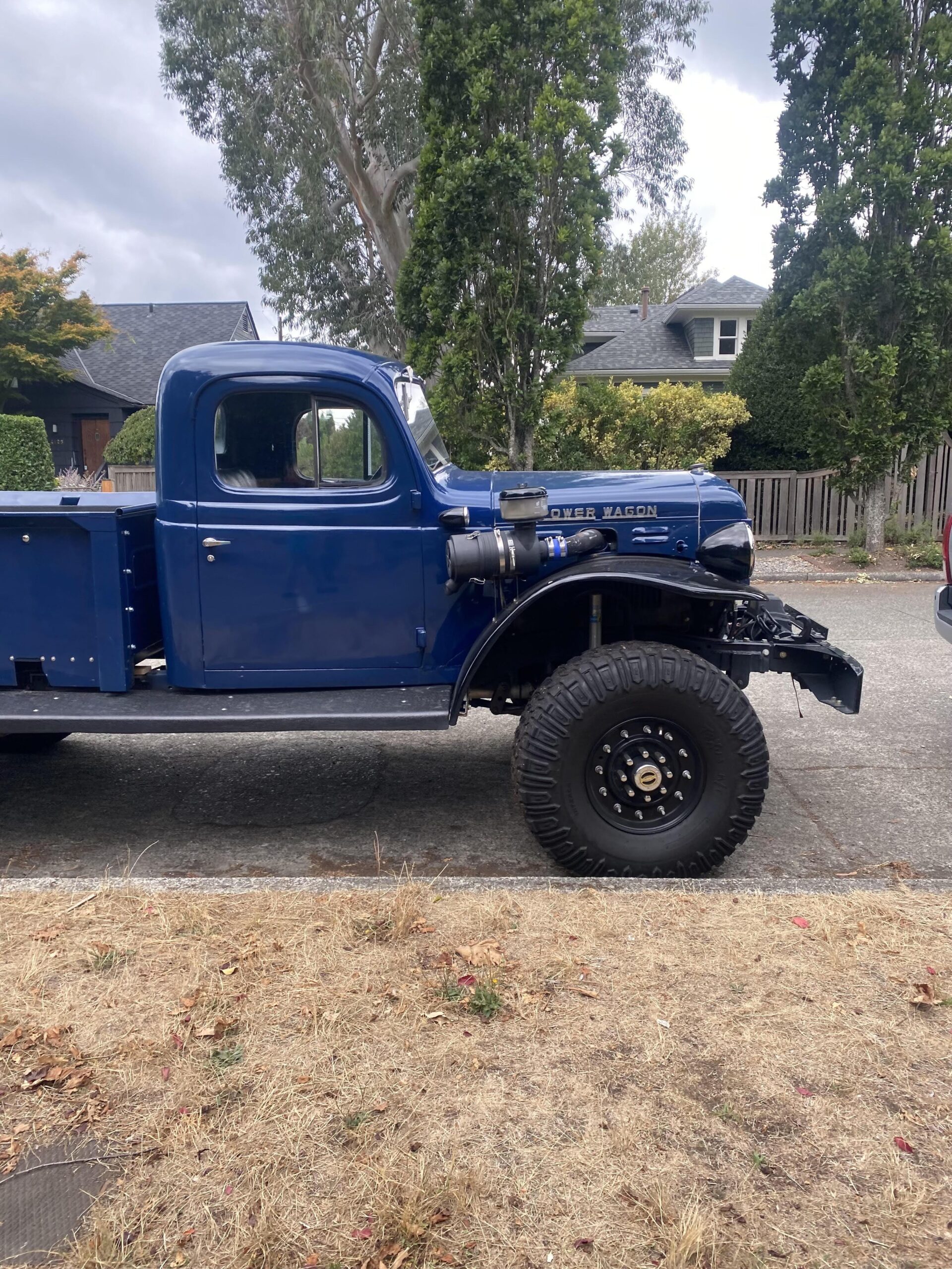 Can anyone help me identify what this strange looking tube is sticking ...