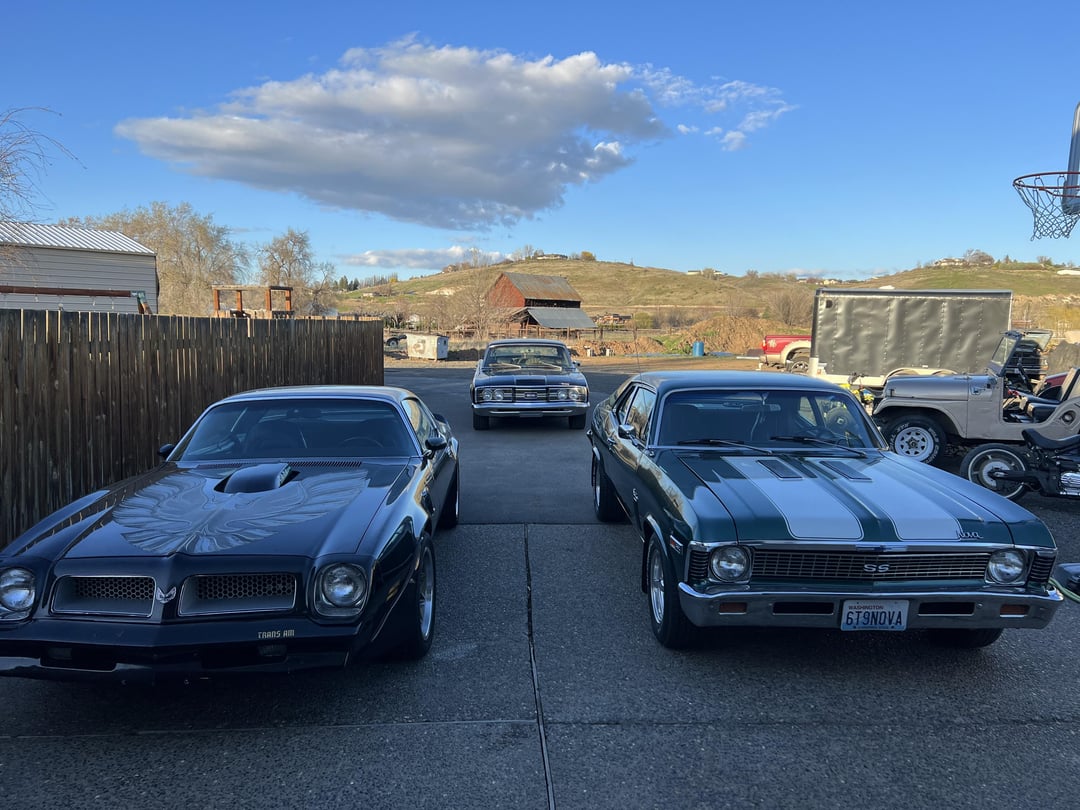 Getting the cars line up for bath time - EVSHIFT