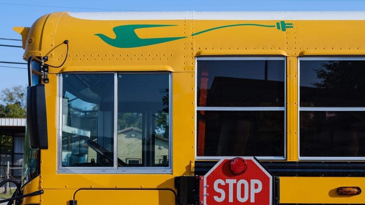 School Bus Maker Blue Bird Is Maybe The Most Successful EV Company In ...