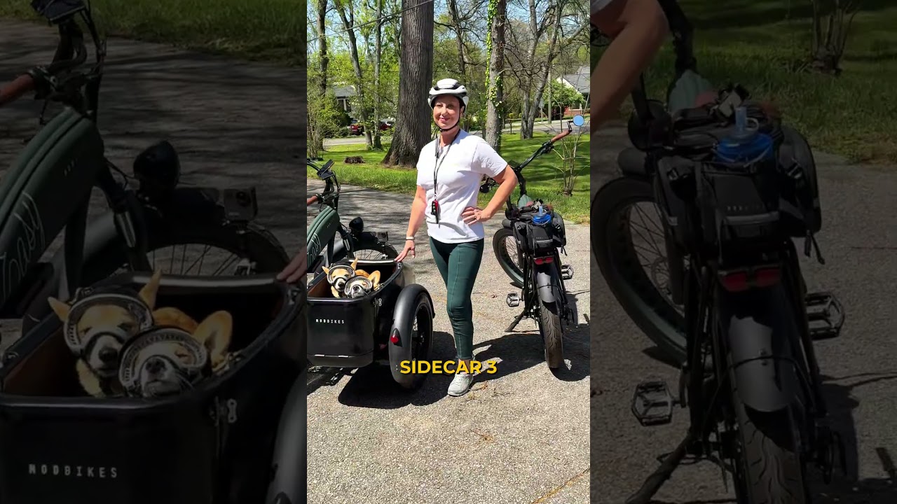 The MOD Easy SideCar - Electric Bike from MOD BIKES - EVSHIFT