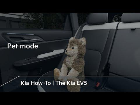 Pet Mode for the Kia EV5. Finally! - EVSHIFT