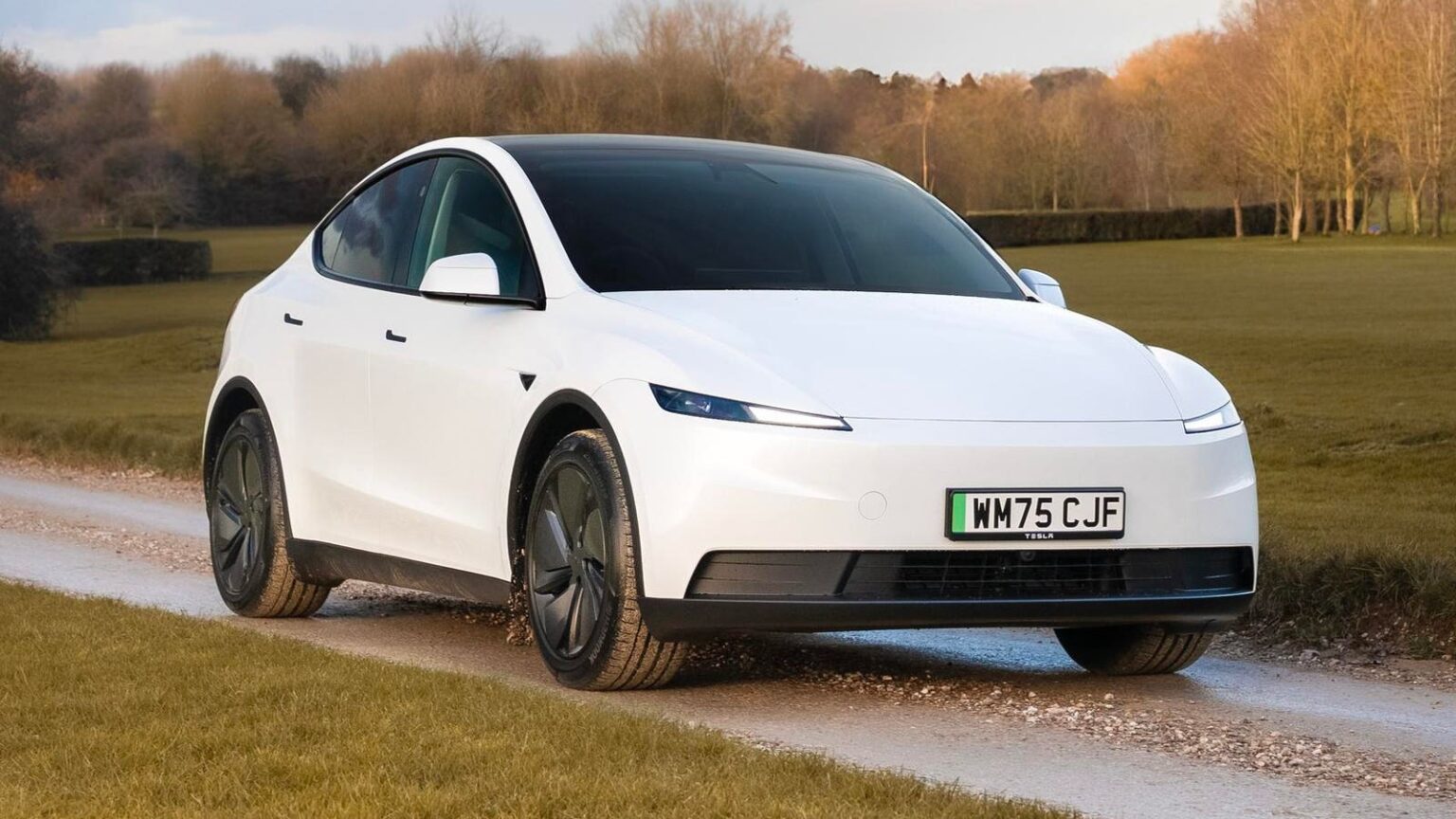 Can New 2026 Tesla Model Y Standard Renew Company Sales Fortunes? - EVSHIFT