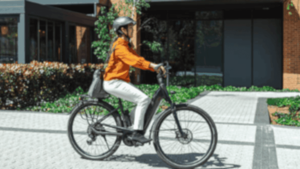 AriaSanta Rosa County School District proposes e-bike rules, permit ...