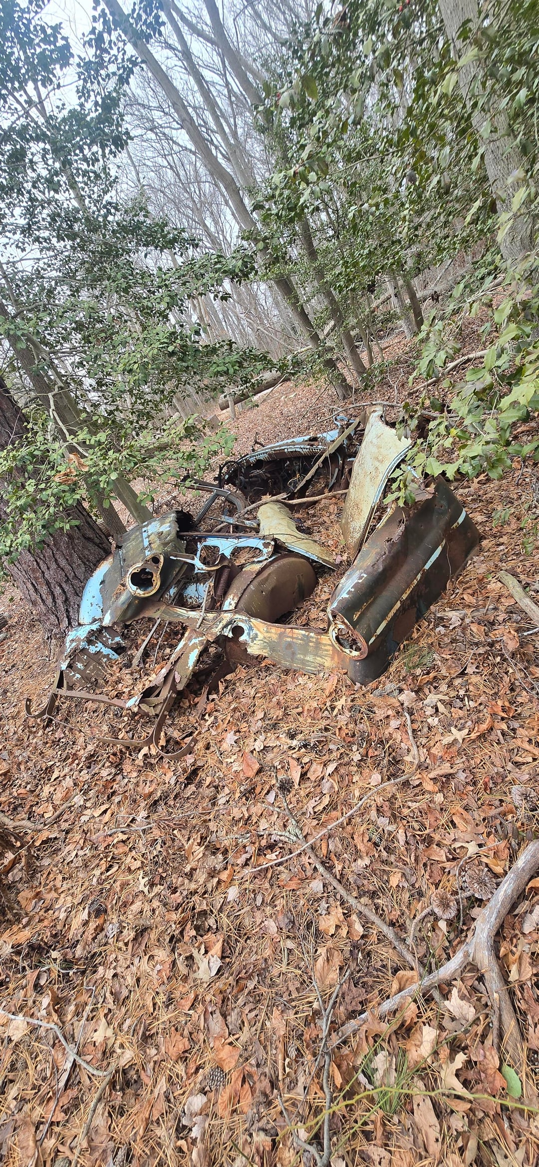 What type of vehicle is this? - EVSHIFT