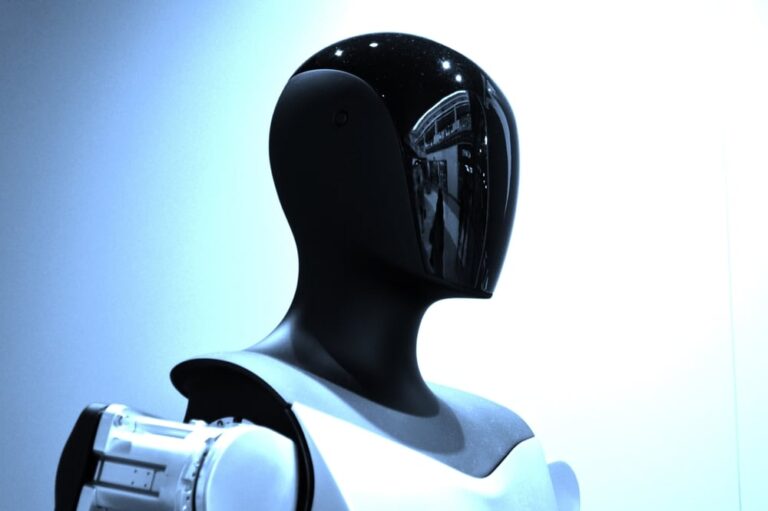 Cathie Wood Says Tesla's Optimus Could Transform Factory, Home Life By ...