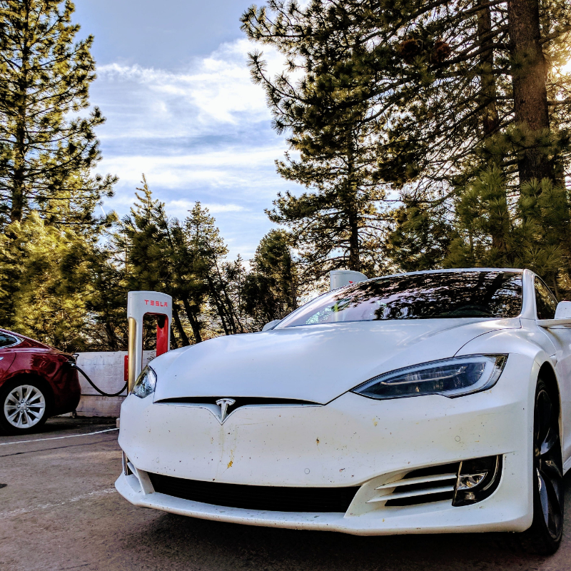 Rowan Street Capital’s New Addition: Tesla (TSLA) - EVSHIFT