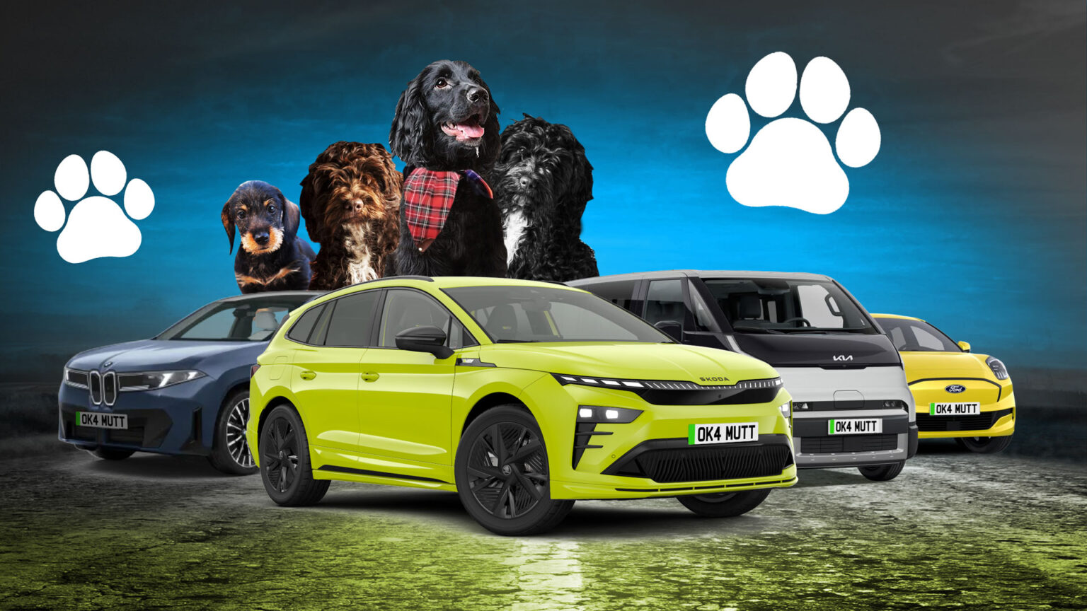 The top EVs for dog owners listed - EVSHIFT