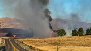 Fresno County Crash Sparks Fire, Leaves Tesla Driver With Major ...